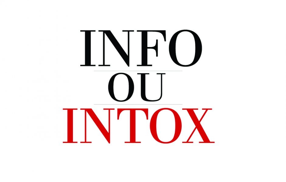 Activité (déconnectée) - Bataille numérique : Info ou Intox ? - Bibliothèques Sans Frontières