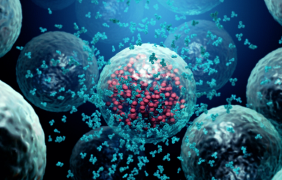 Le système immunitaire : Comment fonctionnent les vaccins ...